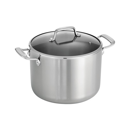 Tri-Ply Clad 8 Qt Covered Stainless Steel StockPot | eBay