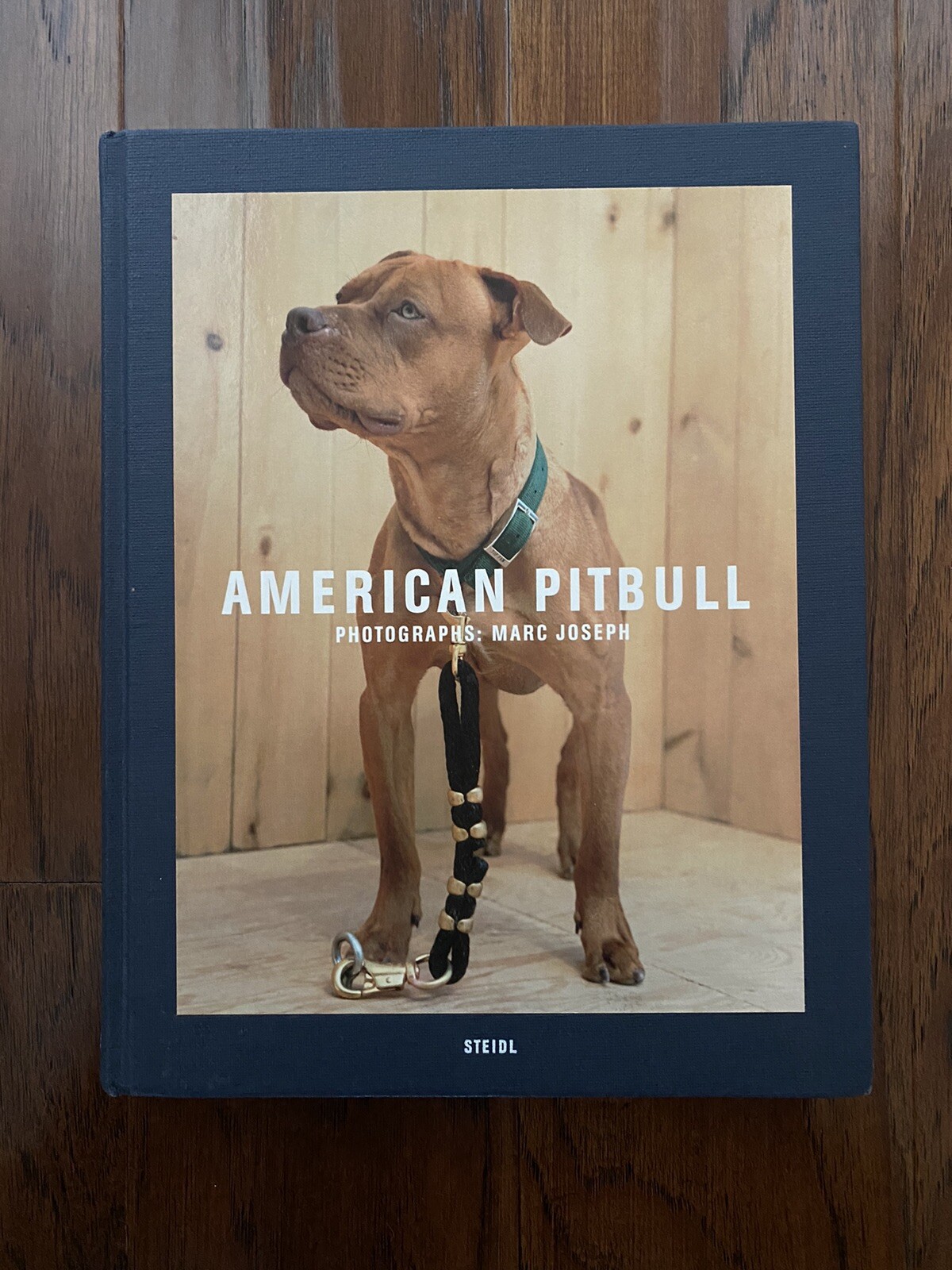 Big Boi Outkast Pit Bulls