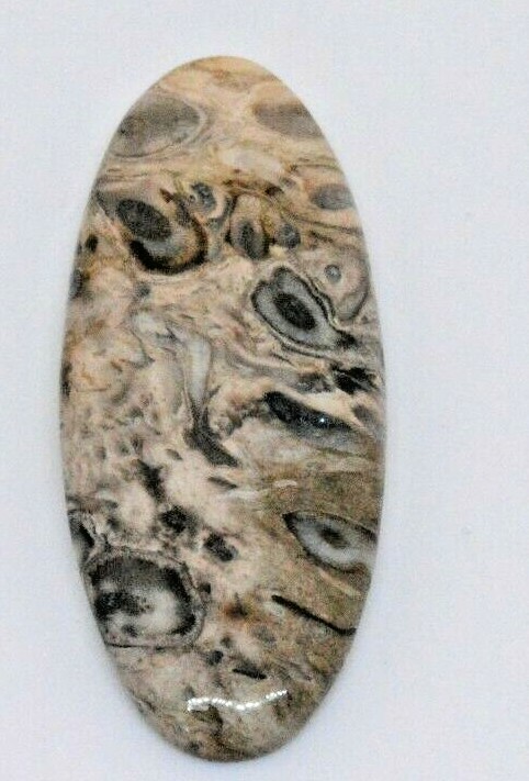 Natural Indonesian Palm Root Agate Oval Shape Cabochon Loose Gemstone ...