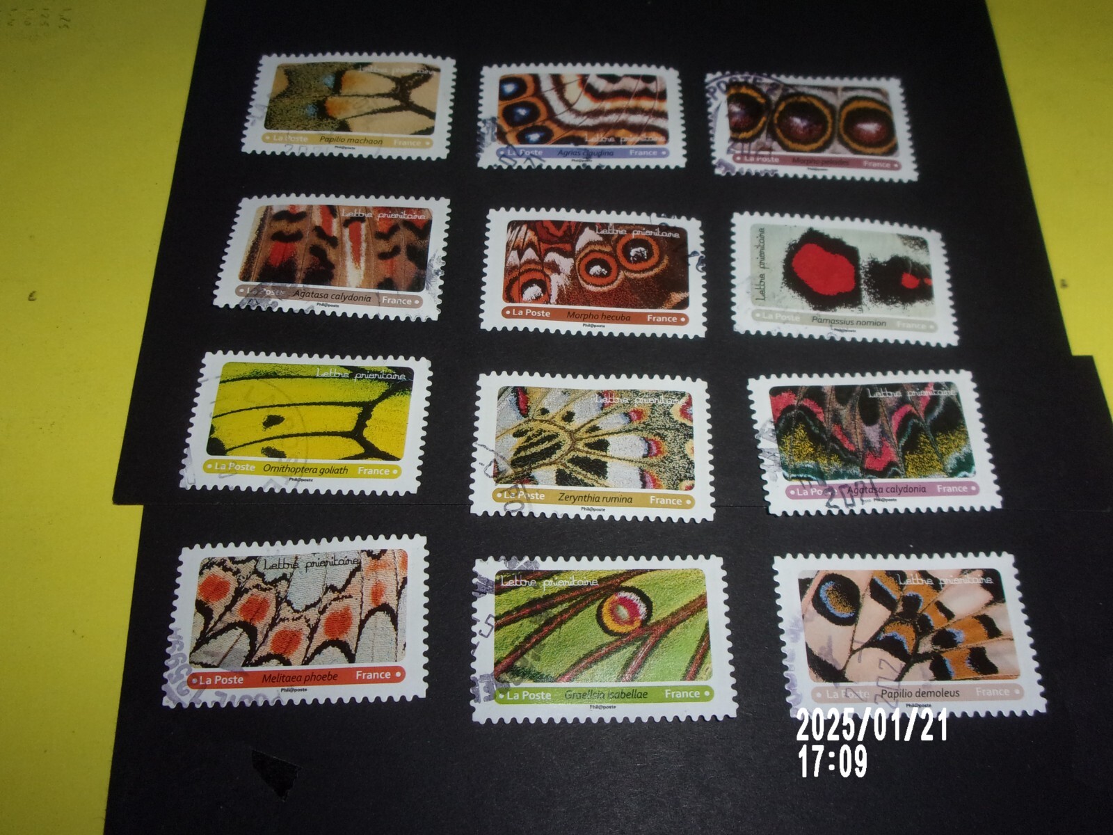 2020 Series No. AA 1801 - 1812 Butterfly Wings Used 12 Round Stamps | eBay