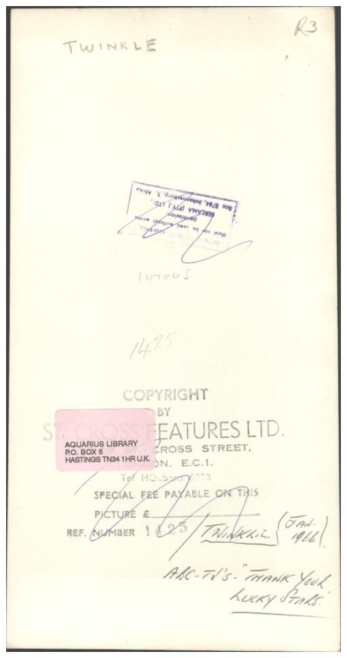 C1280/ Twinkle UK Sängerin Foto 24 x 12,5 cm 1966 | eBay