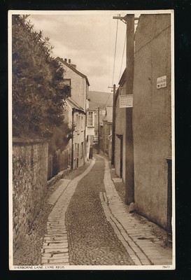 Dorset LYME REGIS Sherborne Lane c1900/10s? PPC local pub Dunsters ...