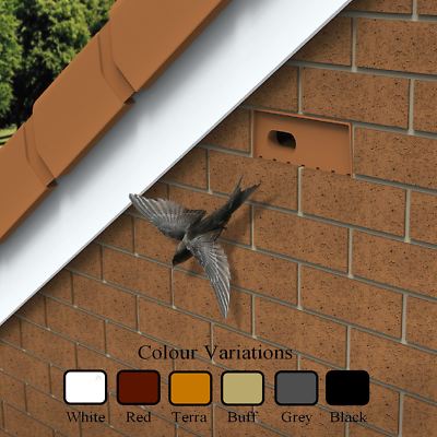 Swift Nesting Brick Box RSPB Conservation Bird House for Brick or ...