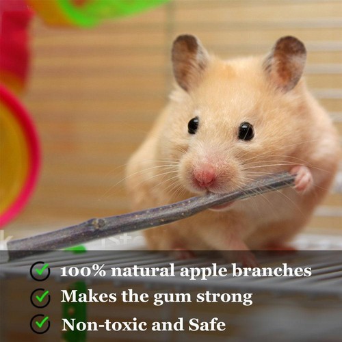 50g Apple Wood Chew Sticks Twigs Rabbit Hamster Guinea Parrots Mice Rat ...