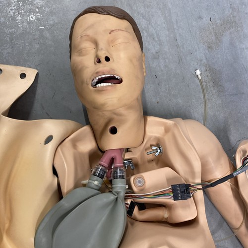 Laerdal Training Nursing Anne Full Body Training Female Manikin Vital ...