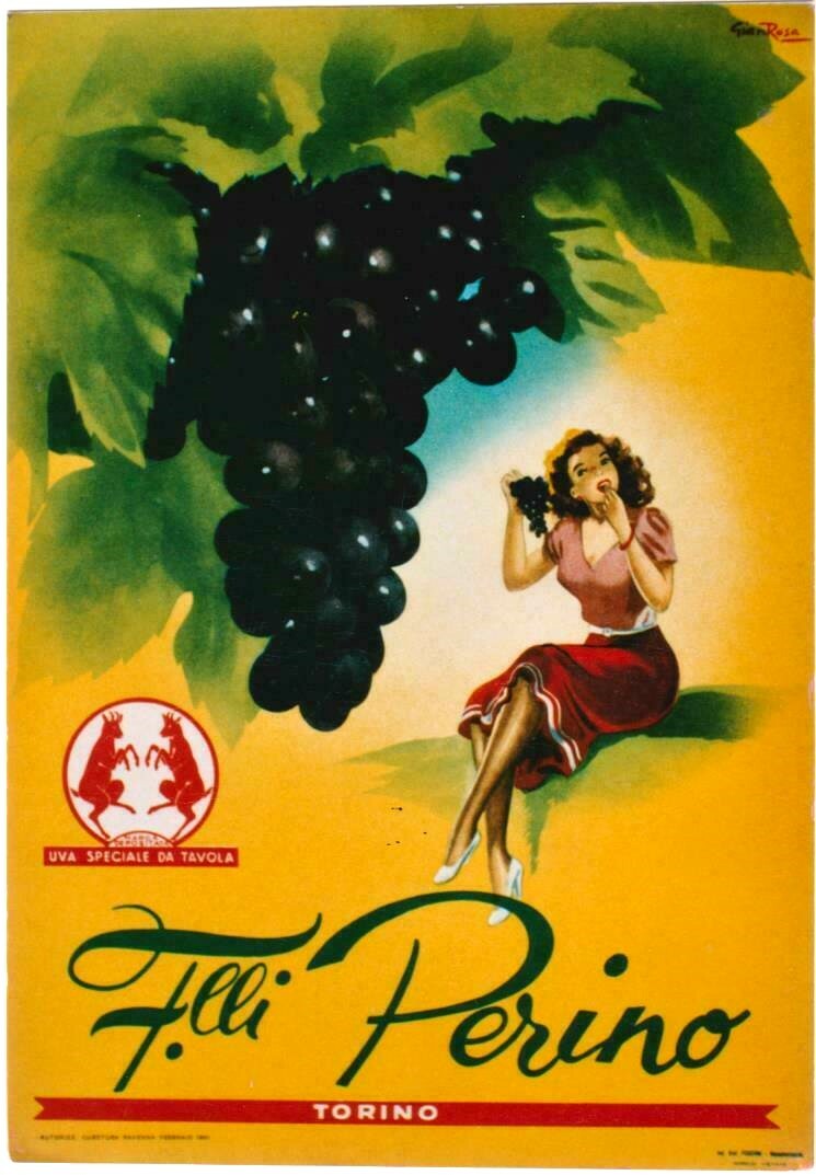 Original vintage poster F.PERINO ITALY FRUITS GRAPES 1951 | eBay