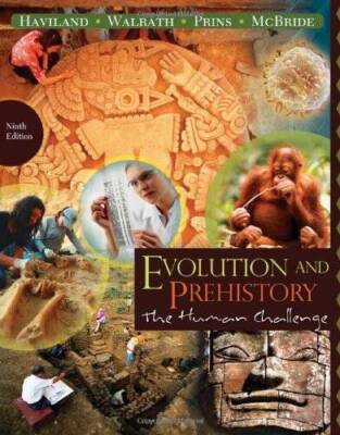Evolution and Prehistory: The Human Challenge - Paperback - GOOD ...