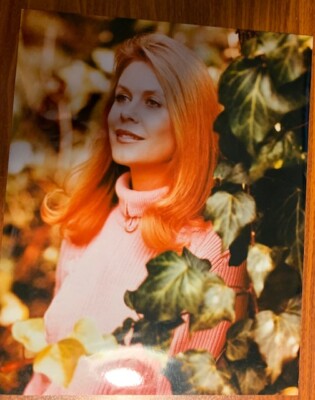 Elizabeth Montgomery 8x10 Color Photo in Sleeve | eBay