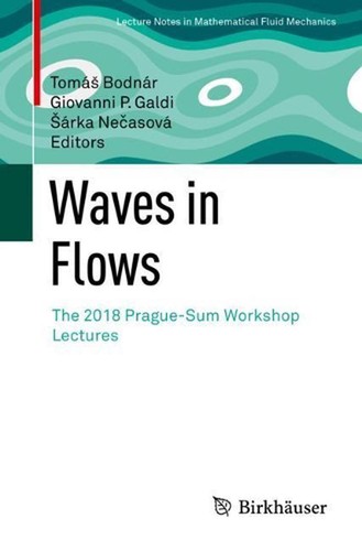 Waves in Flows: The 2018 Prague-Sum Workshop Lectures by Sarka Necasova ...