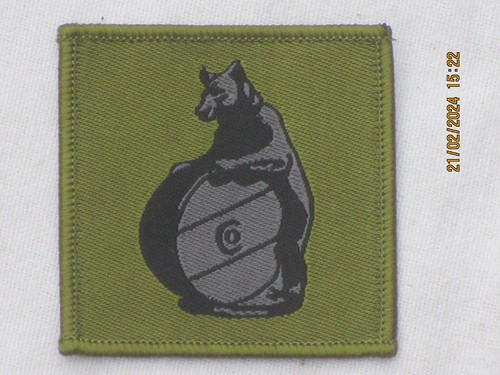 10th Signal Régiment,Royal Signals,TRF ,Subdued,Patch,British Army ...