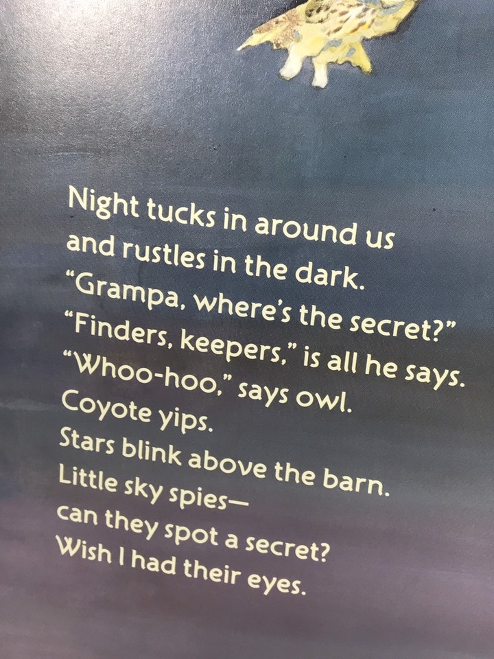 A Secret Keeps By Marsha Wilson Chall New Gift Children's Book | eBay