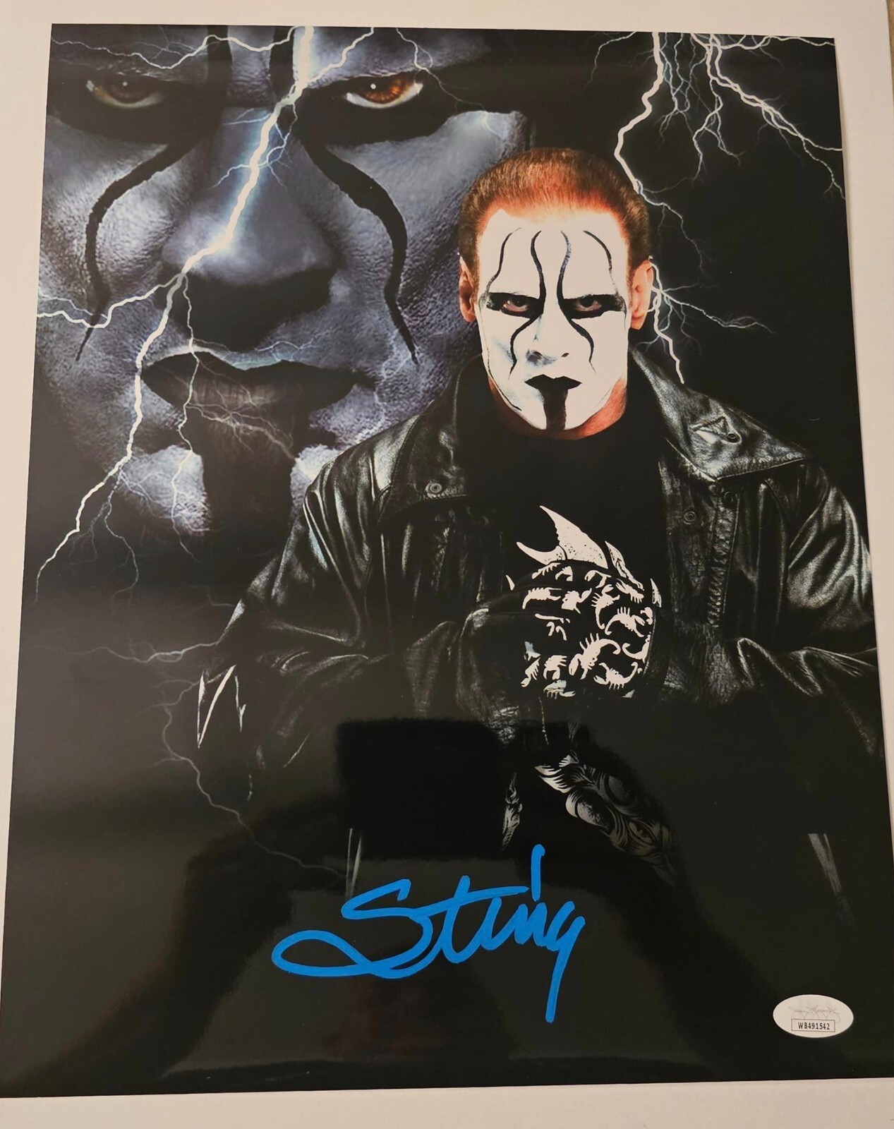 WCW Sting Signed 11x14 Photo Autograph WWE METALLIC AEW JSA COA | eBay