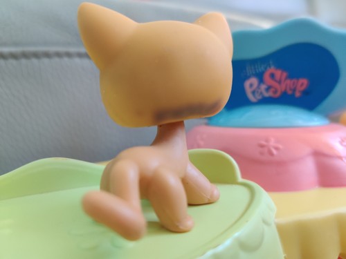 AUTHENTIC LPS Littlest Pet Shop #71 Cat Brooke Blue Eyes | eBay