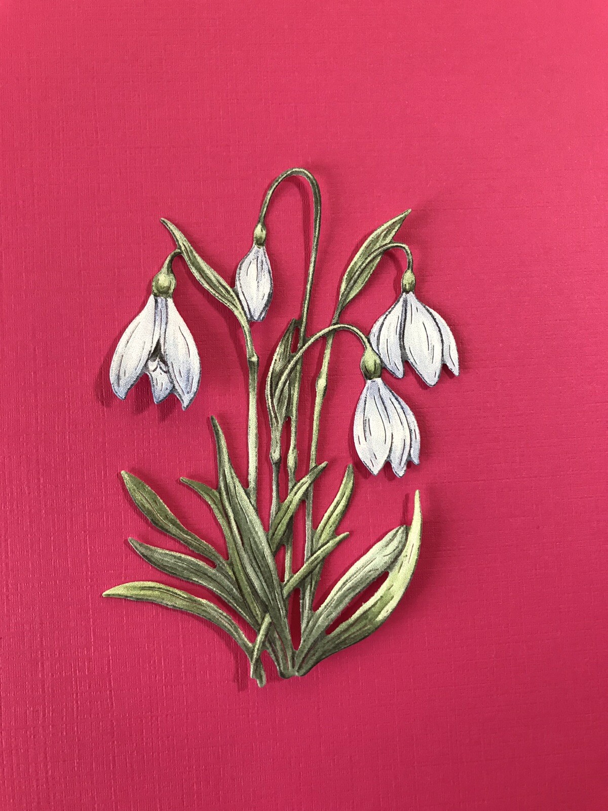 TWO RED ROBINS - Die-cuts - 3 Daffodils, 3 Crocus, 3 Snowdrops - Card ...