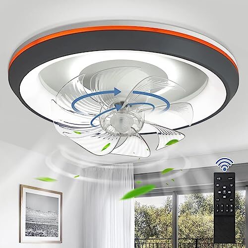 DLLT 19'' Modern Ceiling Fans with Lights, 360-Degree Rotation Low ...