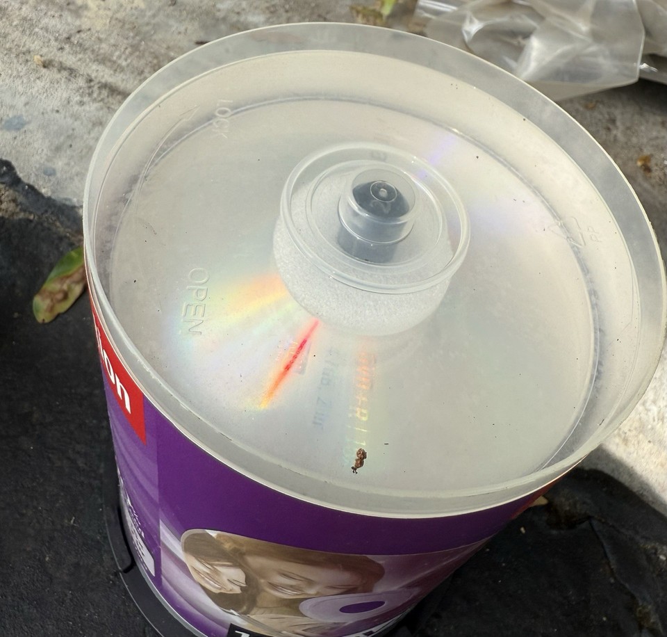 HUGE LOT!! Digital Audio CD-R Music Blank Record Disc W/ Cases | eBay