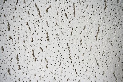 16 X Zentia Fission ( Armstrong Tatra) Square Edge Ceiling Tiles 595 mm ...