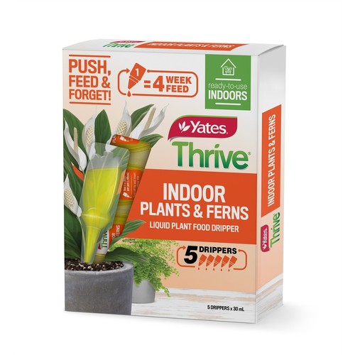 Yates 30ml Thrive Indoor Plants And Ferns Drippers - 5 Pack | eBay ...