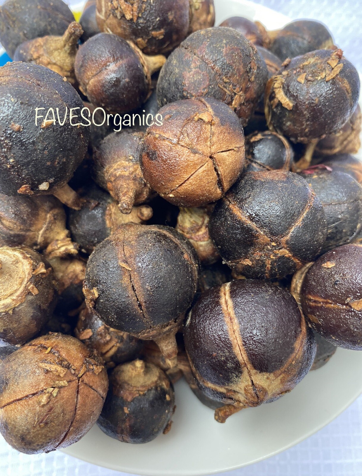 Gorontula Fruits Snot Apple Azanza 10 Varied Sizes. | eBay UK