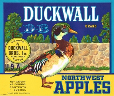 Duckwall Blue Northwest Apple Fruit Crate Label Art Print Hood River ...