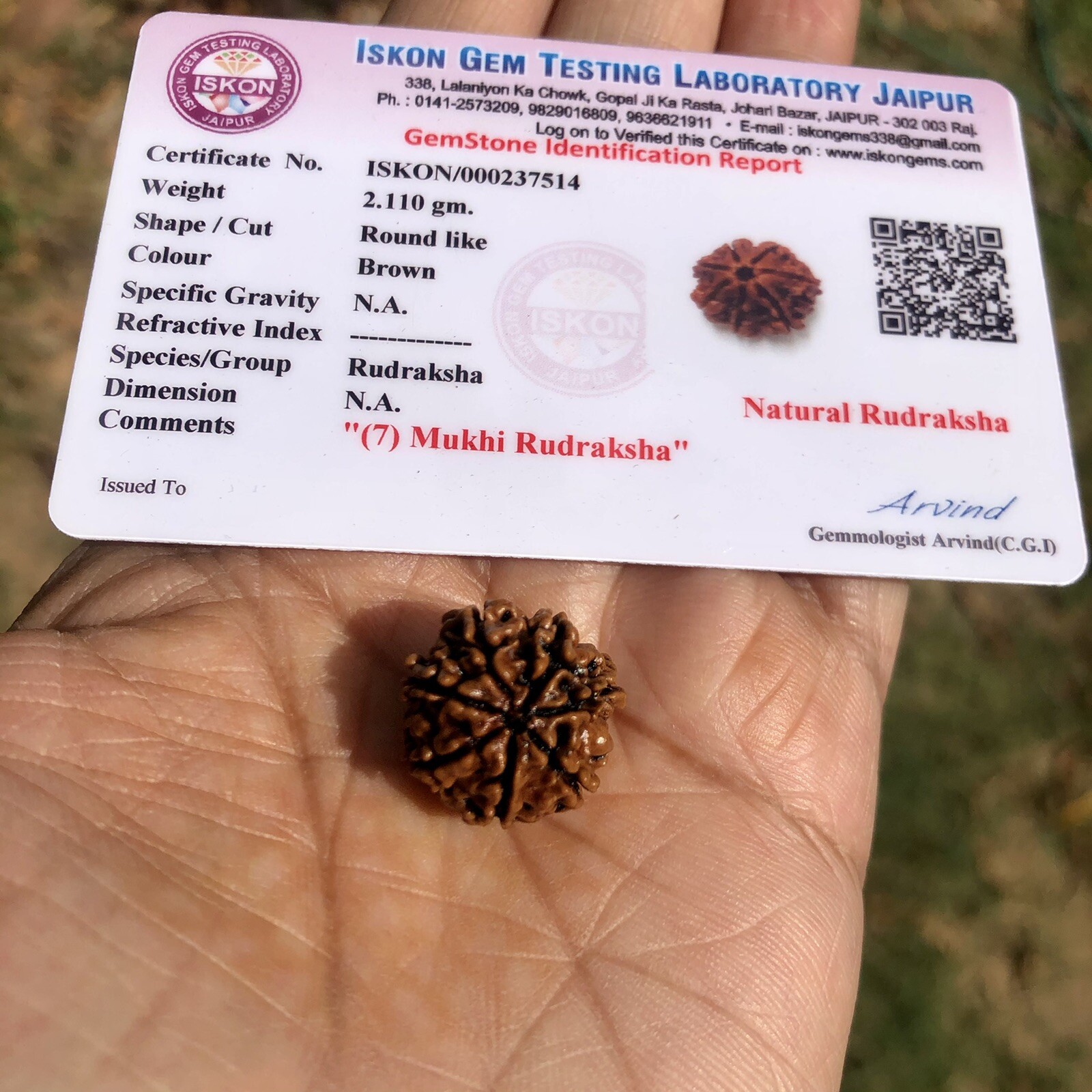LAB CERTIFIED 7 Mukhi RUDRAKSHA Saatmukhi Rudraksh 7 Face Rudraksham 1 ...