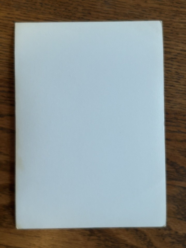 Vintage Gay Male Nude Blond CHUCK SHIELDS Colt Studio 5x7 Photo by Jim ...