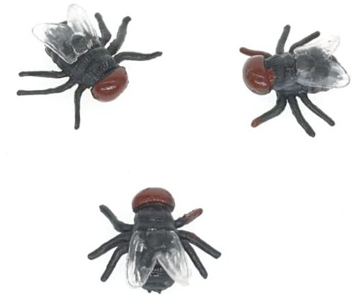 Cooplay 30pcs Fake Fly Flies Bug Plastic Mock Insects Reptile Joke Toys ...