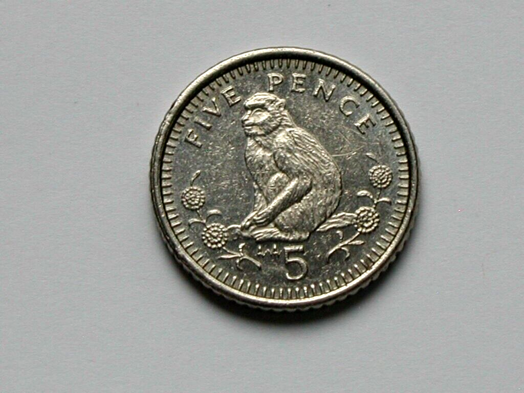 Gibraltar (British) 1996 5 PENCE QEII Coin with Barbary Ape (Monkey ...