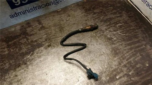 SONDE LAMBDA Peugeot 607 3.0 V6 24V (207 CV) XFX 2004 #227905 | eBay