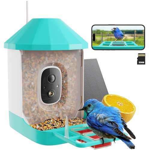 Dzees Bird Feeder Camera with 32G Card, AI Identify Birds Species Smart ...