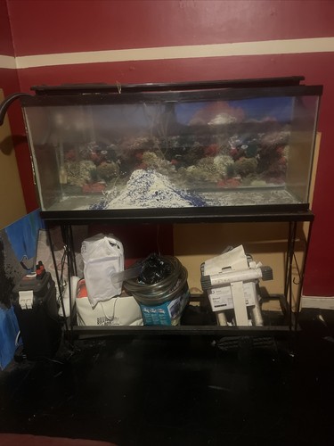 used fish tanks for sale near me | eBay