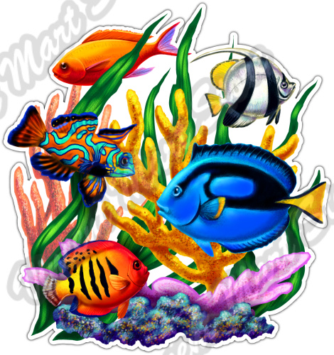 Tropical Fish Sea Life Ocean Vacation Coral Car Bumper Vinyl Sticker ...