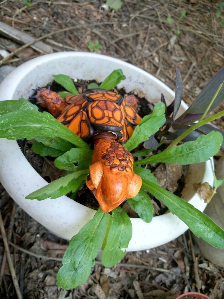 Clay handmade box turtle,decorative turtle, tortoise art figurine ...