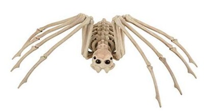 Crazy Bonez Skeleton Spider | eBay