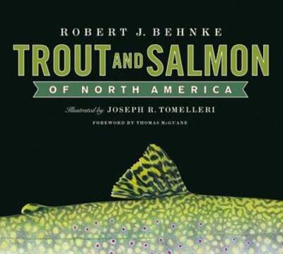 Trout and Salmon of North America by Robert Behnke: New 9780743222204 | eBay