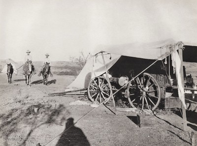 1908/52 Vintage WESTERN COWBOYS HORSE Camp Mule 11x14 Photo Art ~ ERWIN ...