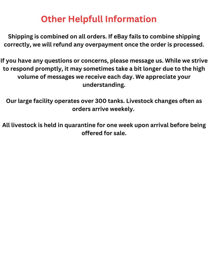 Blue-Violet Dragon Goby - Freshwater Gobioides Broussonnetii Approx 4-5 ...