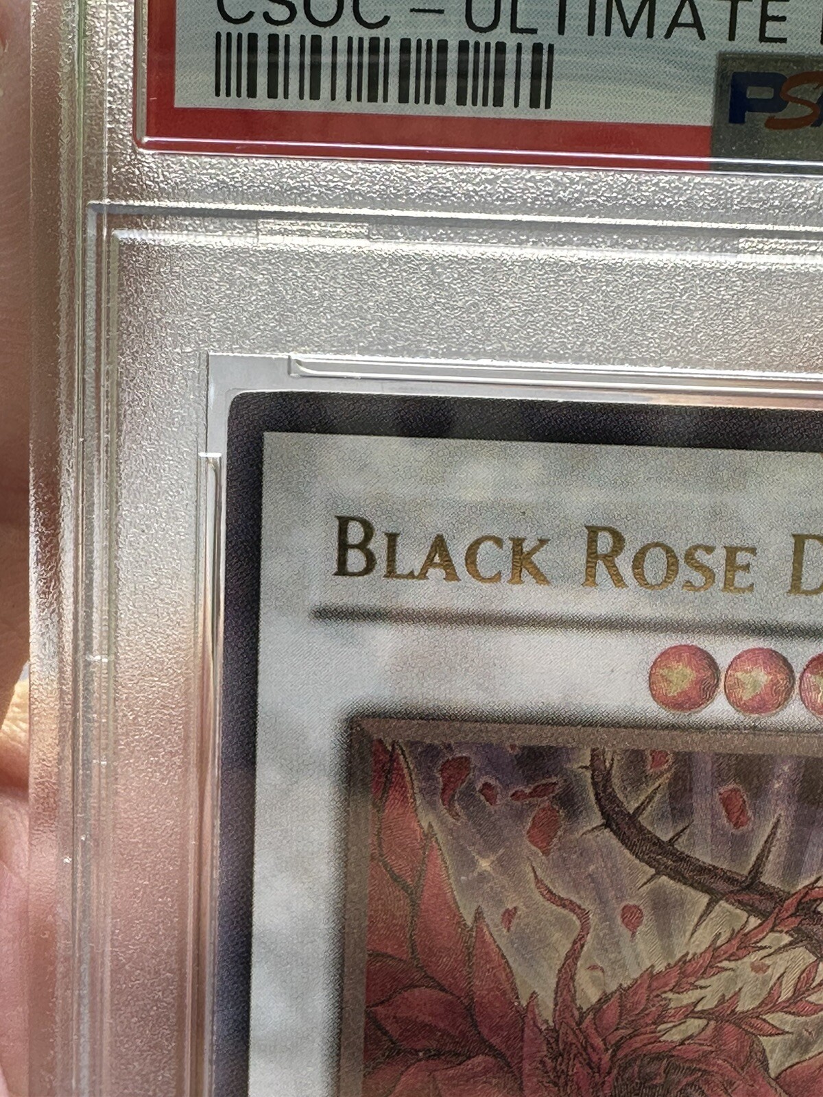 YUGIOH CSOC-EN039 BLACK ROSE DRAGON ULTIMATE RARE 1ST PSA 9 MINT | eBay