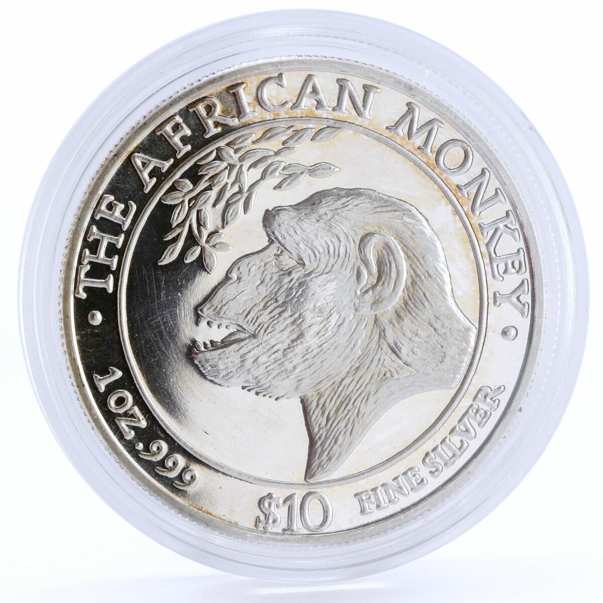 Somali 10 dollars The African Monkey Chimpanzee Fauna proof silver coin ...