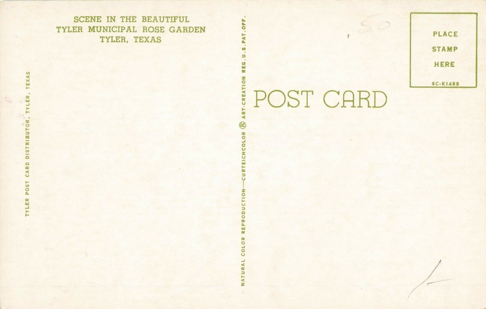 Postcard Beautiful Tyler Municipal Rose Garden Tyler Texas | eBay