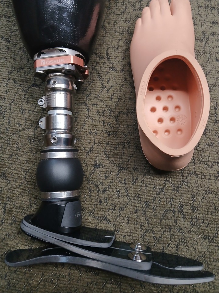 OSSUR pro-flex Lp Torsion prosthetic Leg Left Foot Size 25 Category 6 ...