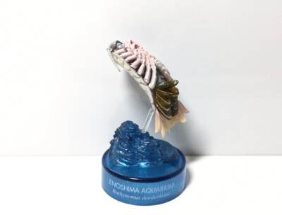 RARE Kaiyodo Aquatales Enoshima Aquarium Deep Sea Giant Isopod Figure ...