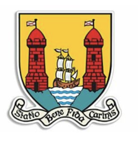 4" CORK CREST IRELAND SHAPED STICKER DECAL | eBay