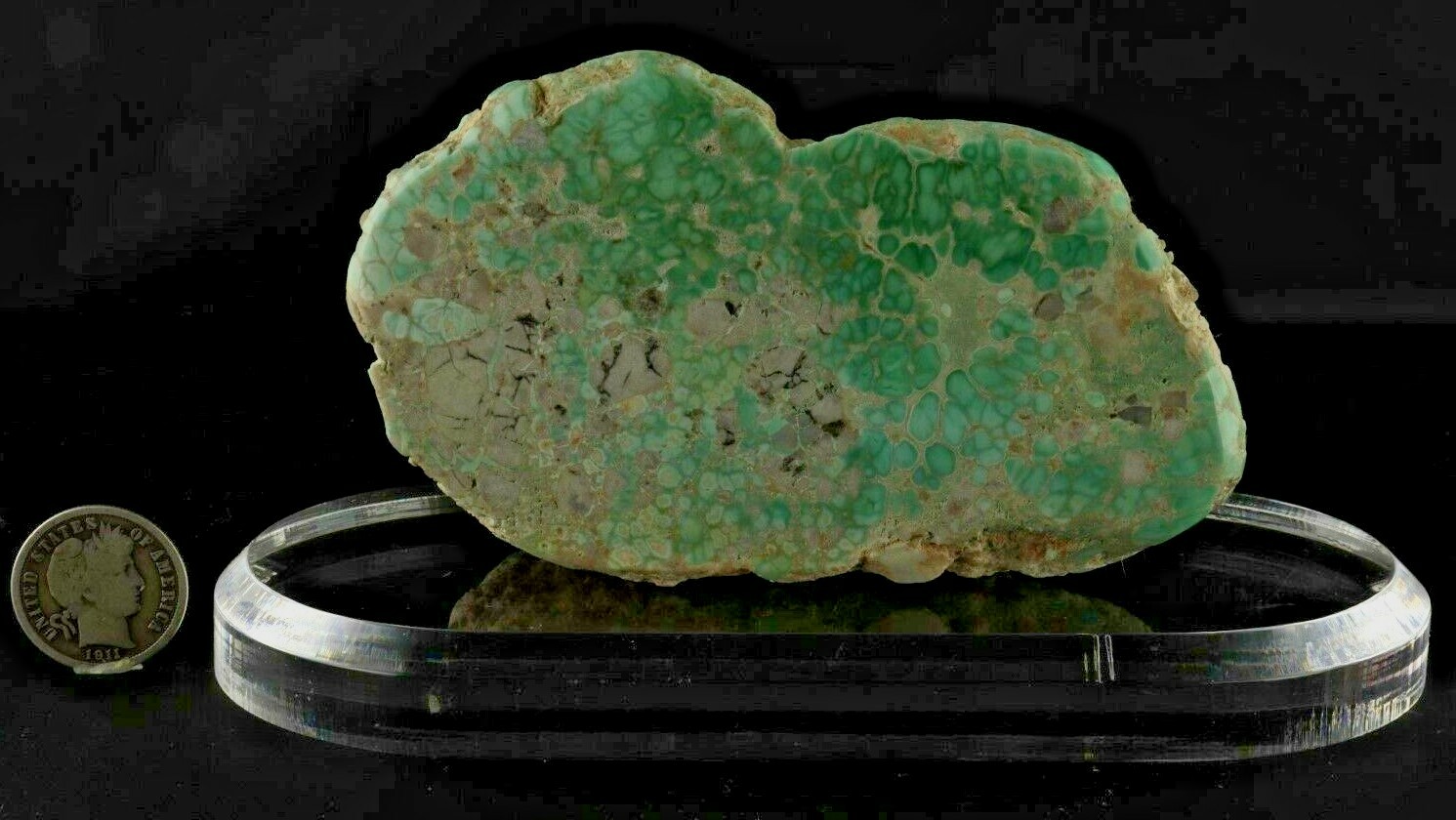 COLLECTIBLE Rare Lucin Variscite Museum Grade Mineral Specimen-American ...