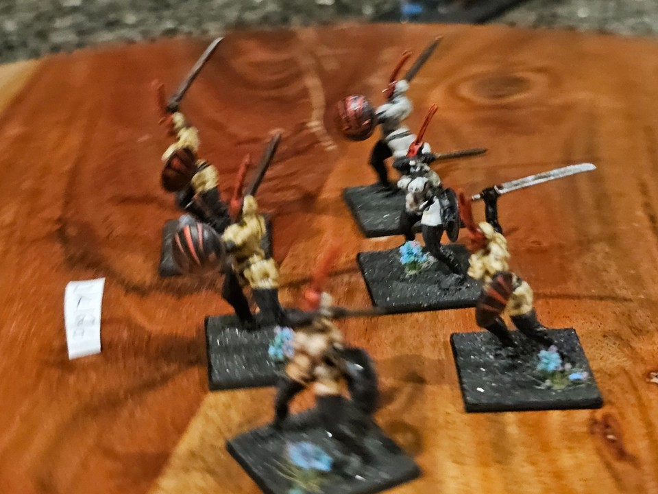Cool Mini or Not Wrath of Kings House Nasier Pelegarth Warriors Painted ...