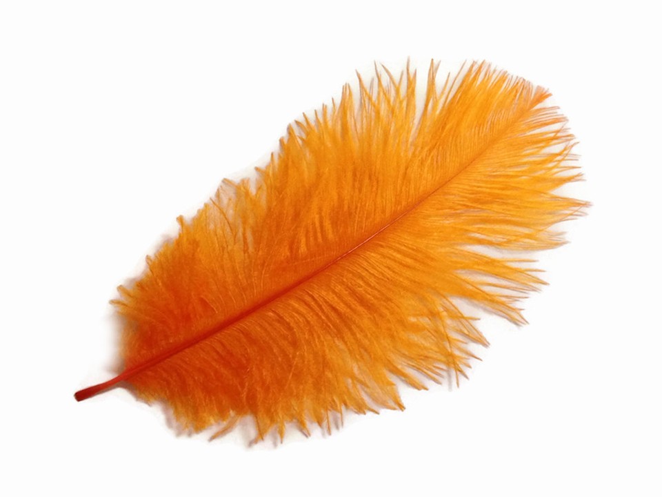 10 Pieces - 8-10" Orange Ostrich Dyed Drabs Feathers Halloween Prom ...
