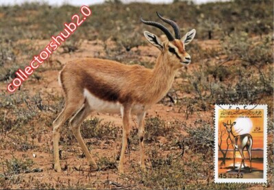 LIBYA 1979 Gazelle "Gazella dorcas" Wildlife WWF Animals (maximum-card ...