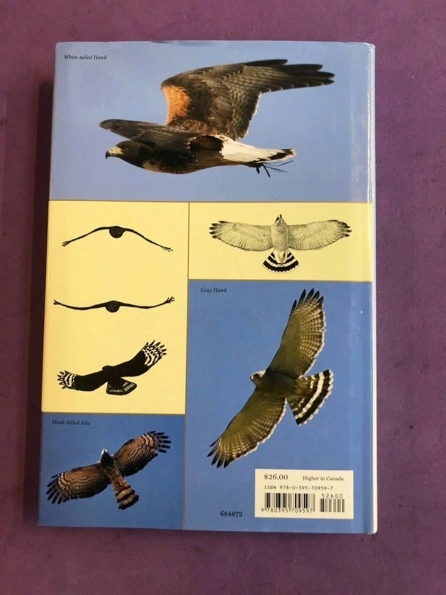 Identify North American Hawks