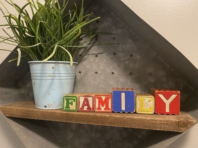 Vintage Wooden Children's Alphabet ABC Blocks FAMILY Word Block | eBay