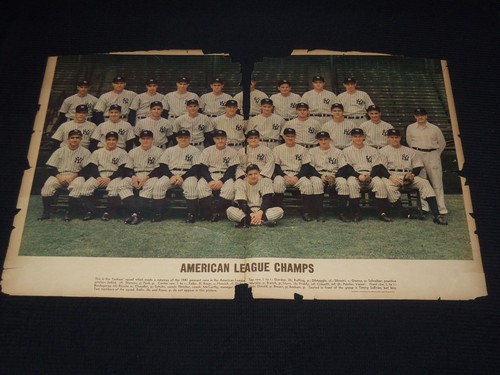 1941 NEW YORK YANKEES AMERICAN LEAGUE CHAMPS COLOROTO TEAM PHOTO - NP ...